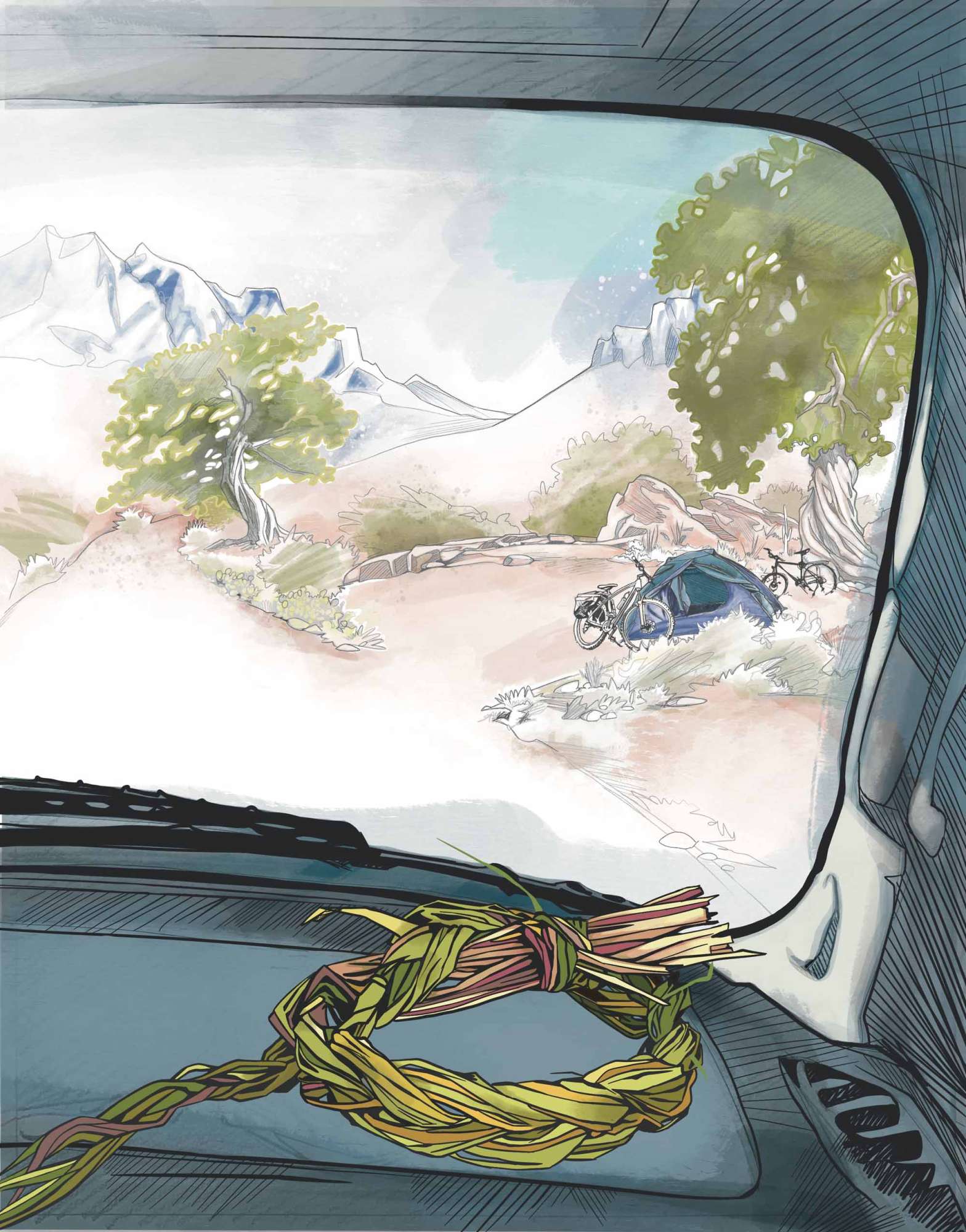 Sweetgrass on the Dashboard - Mountain Life